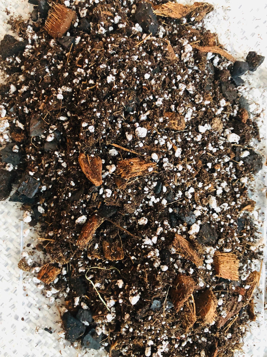 All Purpose Soil Mix Blend – Planthaven Toronto